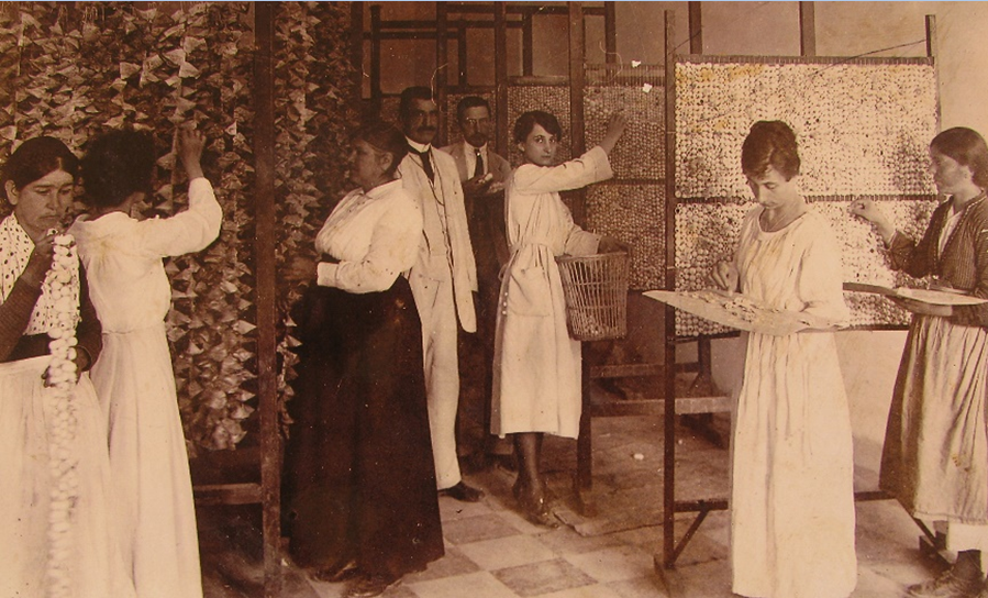 Project Unraveling the Cocoon of Memory concludes in Soufli - The ...